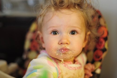 A Crumby Situation – New York Family