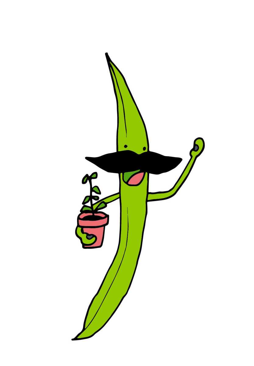 Growing Plants And Smiles At The Hort’s “Green Bean Bash” – New York Family