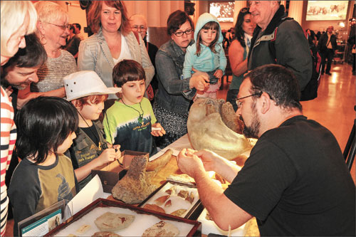 ID your treasures at the AMNH – New York Family