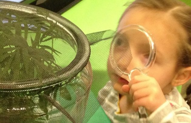 Nutritious And Delicious Tips From The Hort’s Annual Green Bean Bash ...