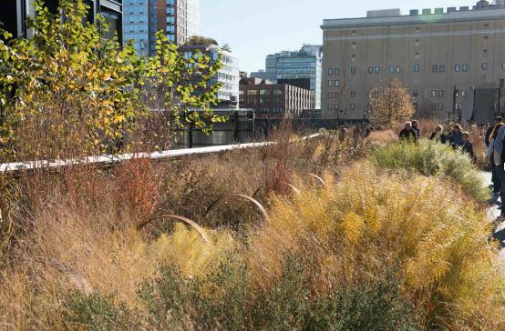 17 Places To Enjoy Nature In NYC | New York Family