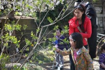 Earth Month NYC: Family Fun & Kids Activities