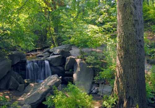 17 Places To Enjoy Nature In NYC | New York Family