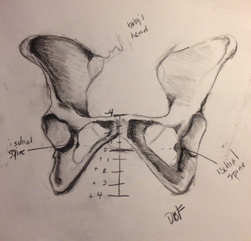 The Difference Between Station And Dilation – New York Family
