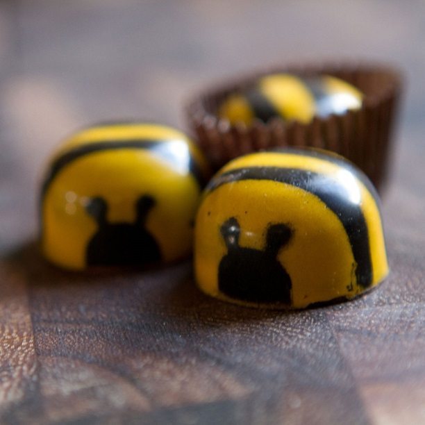 Shopping: Buzz-worthy Picks For National Honeybee Day – New York Family