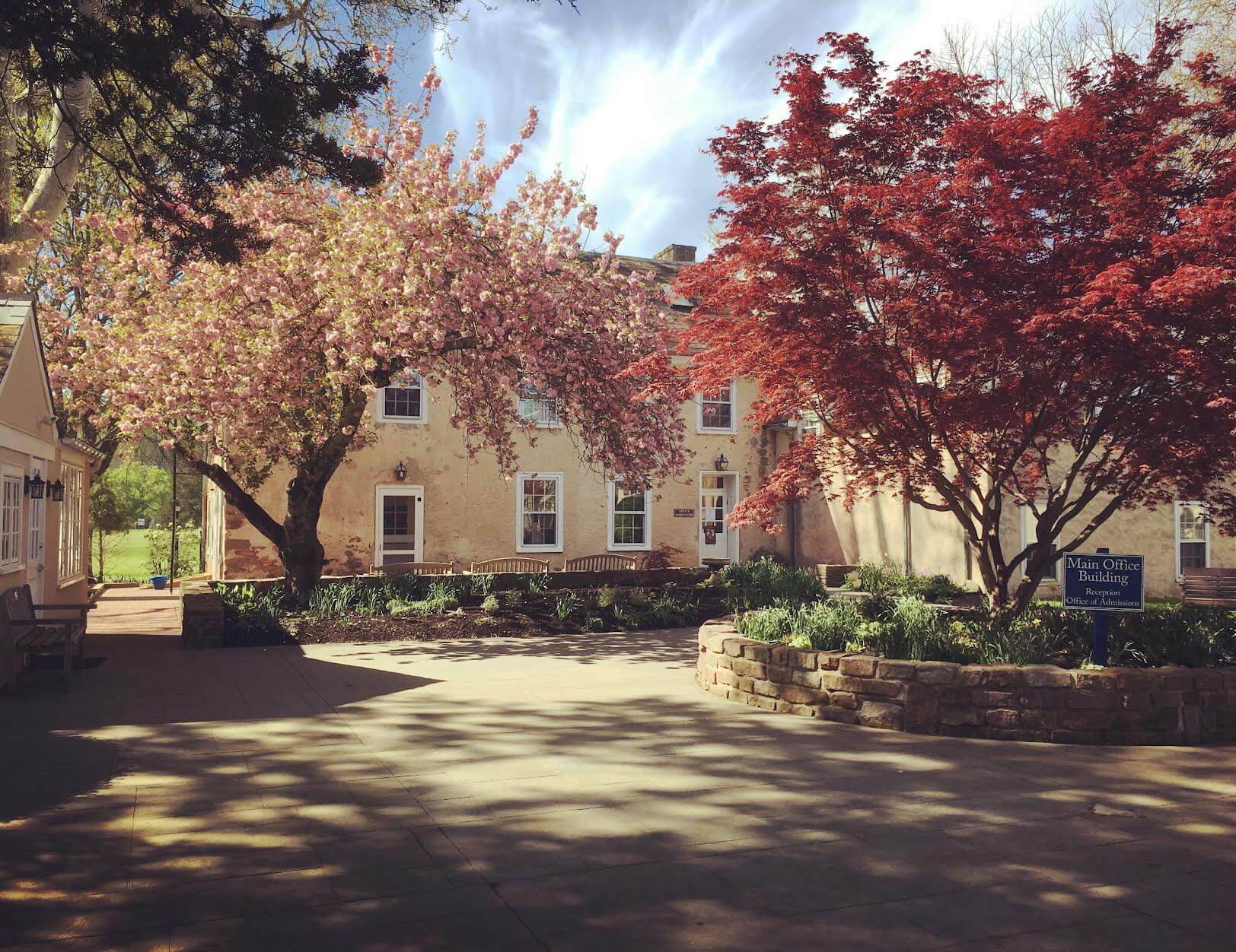 Solebury School: What School Should Be – New York Family