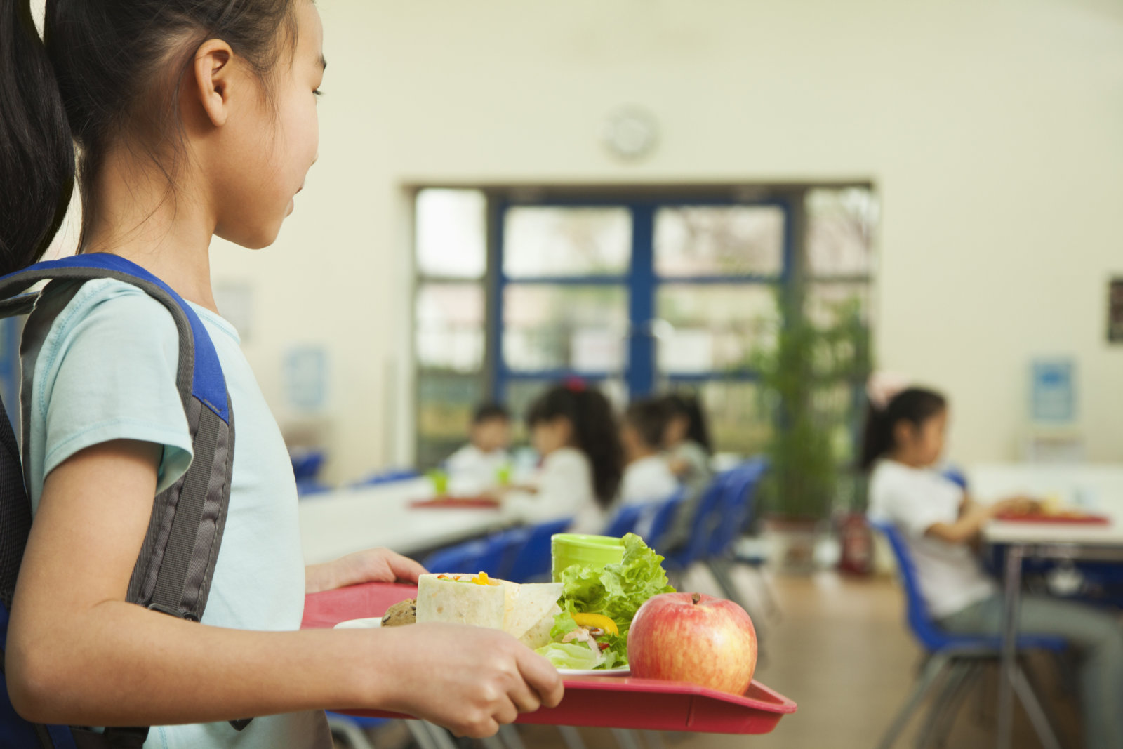 USDA Proposes Updates to School Meal Standards – New York Family