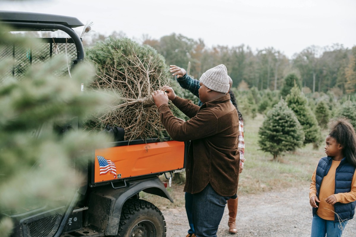 9 Cut-Your-Own Christmas Tree Farms on Long Island-New York Family