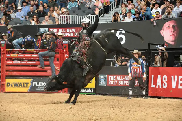 Professional Bull Riders Return to Long Island This Fall – New York Family