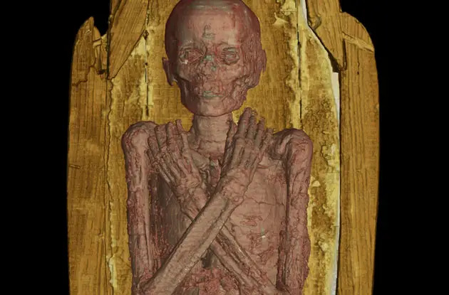 American Museum of Natural History to Open New ‘Mummies’ Exhibit – New ...