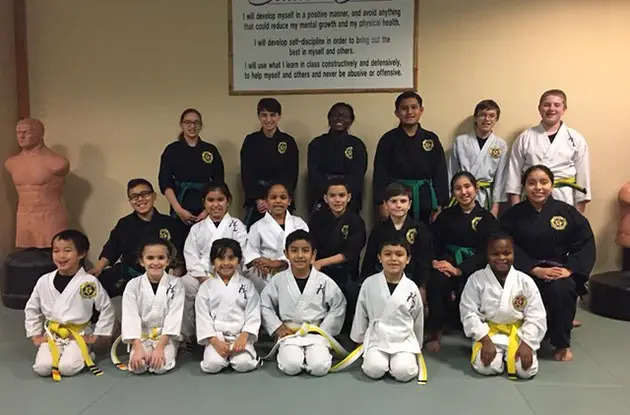 Heijoshin Dojo Offers New ‘Little Ninjas’ Classes and Three-Class ...