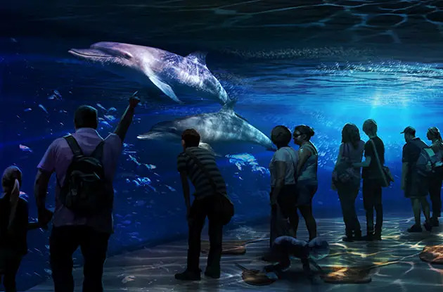 National Geographic Encounter: Ocean Odyssey to Open in Times Square ...
