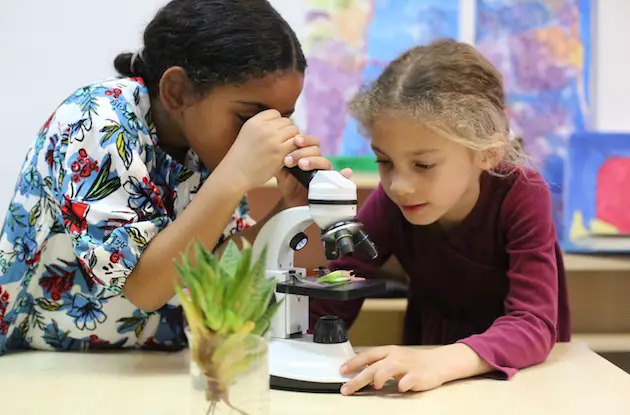 Science Language and Arts International School Moves to Carroll Gardens ...