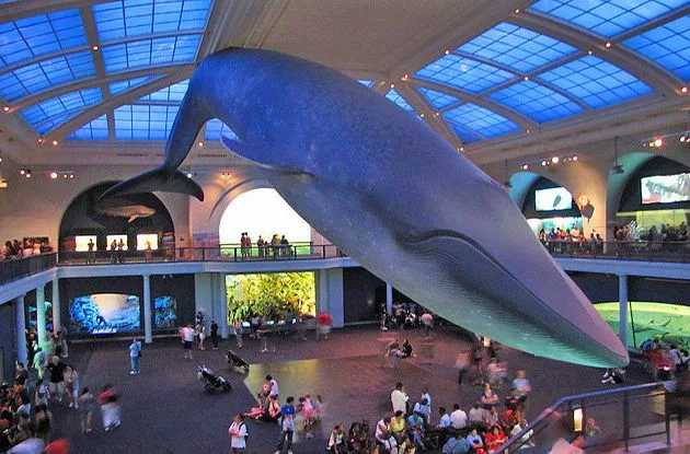 IDNYC Benefits: Free Access to 33 NYC Cultural Institutions