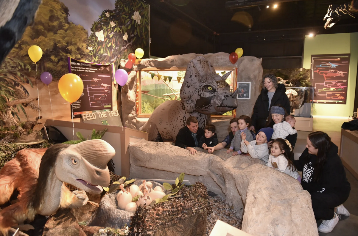 13 Fun Things to do in Long Island for Kids during winters