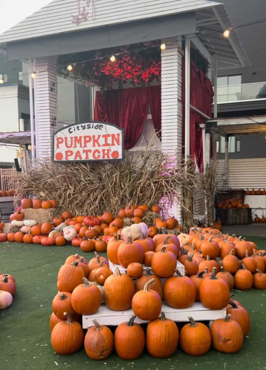 A Parent’s Guide to Cityside Pumpkin Patch in Queens – New York Family